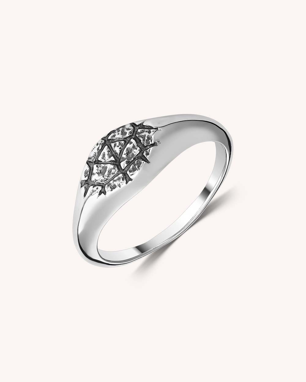 Inel A Tale of The Earth